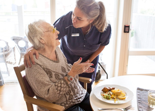 Plejehjemsoversigten