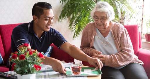 Plejehjemsoversigten