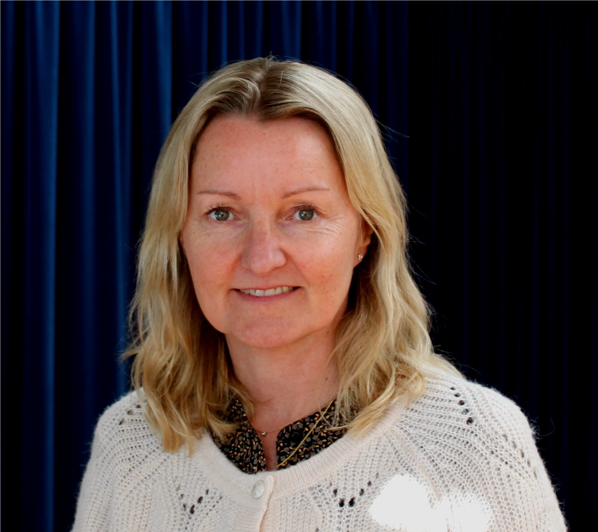 Plejehjemsoversigten